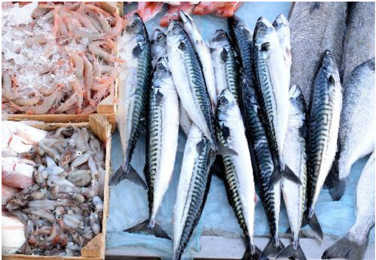 Finaliza el proyecto ELIMET desarrollado por ANFACO-CECOPESCA para ...